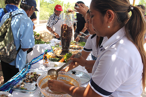 El Festival del Curil, iniciativa encantadora