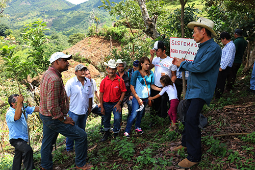 Familias chalatecas expusieron experiencias agrícolas